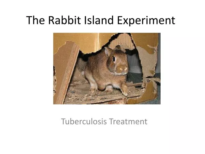 PPT - The Rabbit Island Experiment PowerPoint Presentation, free ...