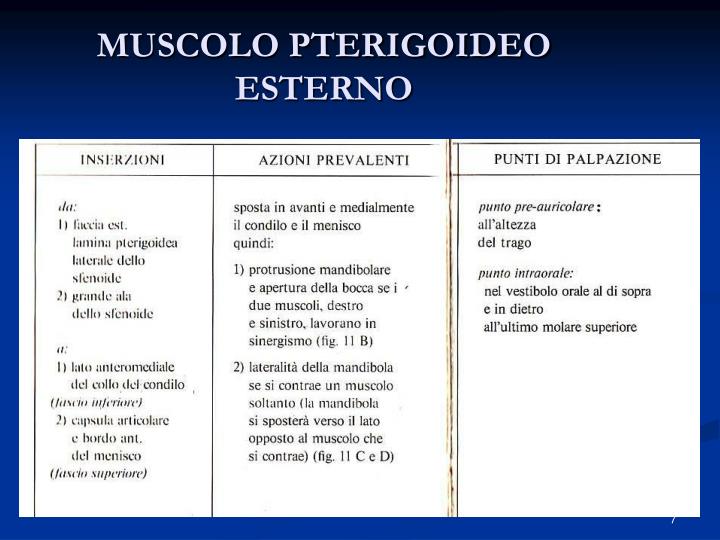 PPT - MORFOLOGIA APPARATO STOMATOGNATICO PowerPoint Presentation - ID ...