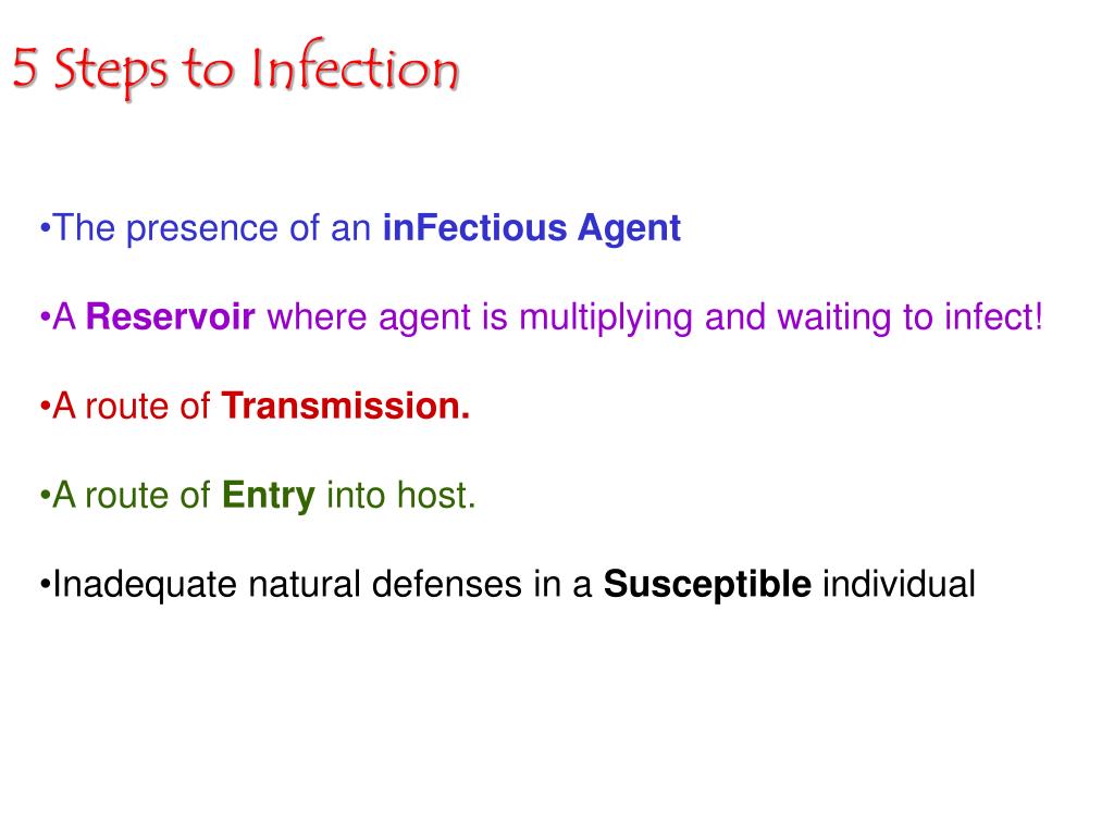 PPT - Microbiology 2 Infection Control DN8 PowerPoint Presentation ...