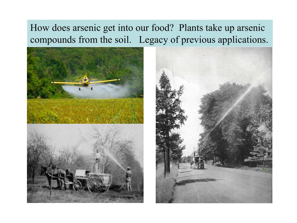 PPT - How Much Arsenic Do We Eat? PowerPoint Presentation, free ...