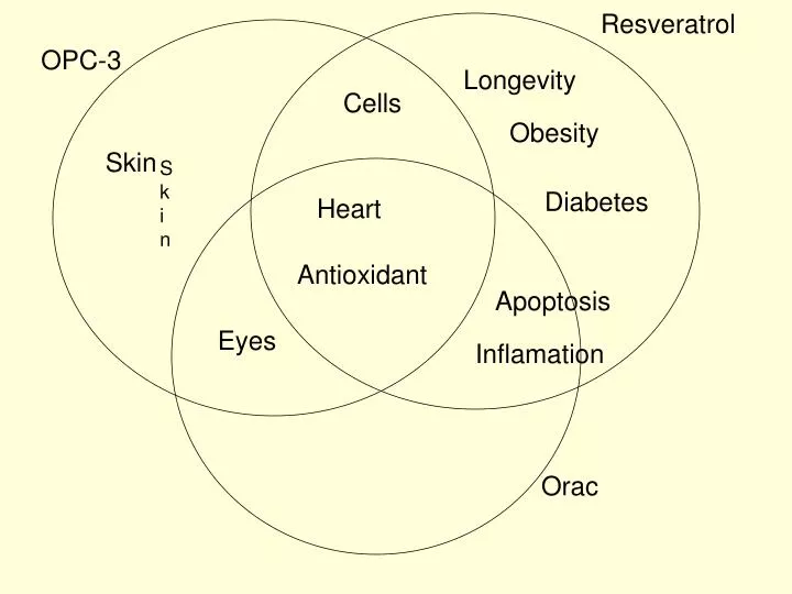 PPT - OPC-3 PowerPoint Presentation, free download - ID:5846870