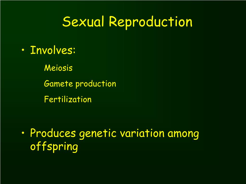 Ppt Meiosis And Sexual Reproduction Powerpoint Presentation Free