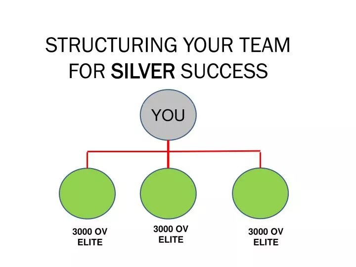 PPT - STRUCTURING YOUR TEAM FOR SILVER SUCCESS PowerPoint Presentation ...
