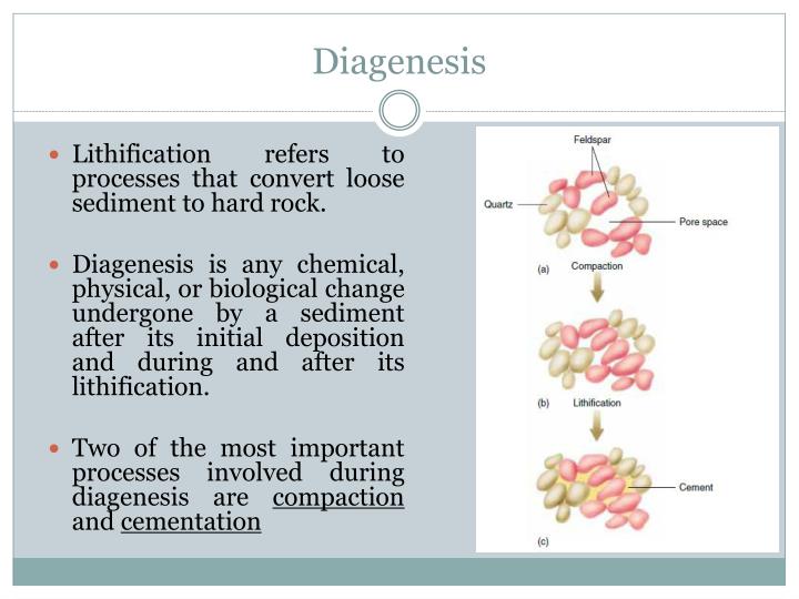 PPT - Introduction to Sedimentology and Stratigraphy PowerPoint ...