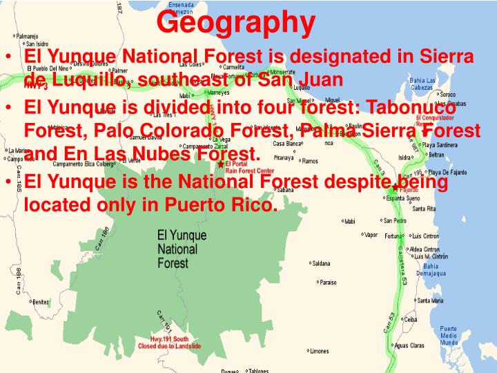 PPT - El Yunque National Forest PowerPoint Presentation - ID:5856597