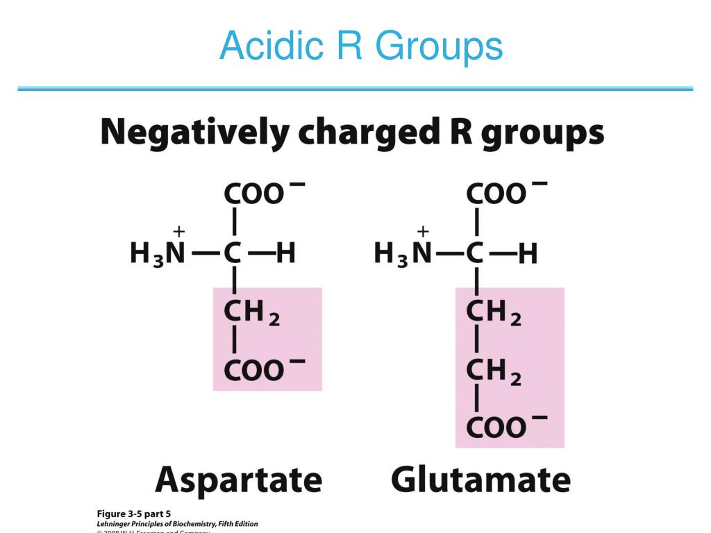 PPT - CHAPTER 3 Amino Acids, Peptides, Proteins PowerPoint Presentation ...