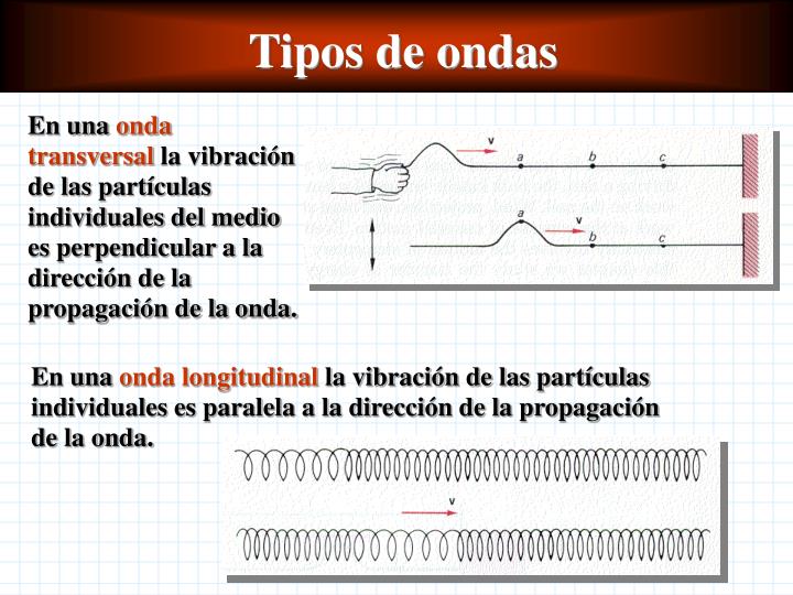 PPT - Movimiento ondulatorio PowerPoint Presentation - ID:5858825