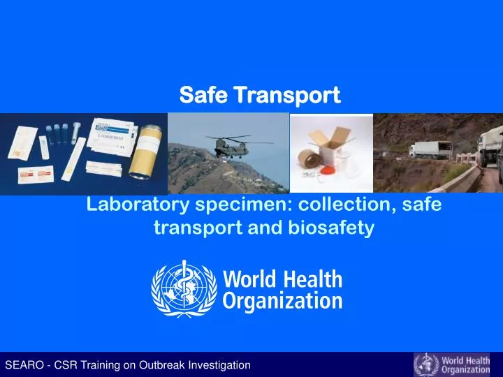 PPT - Safe Transport PowerPoint Presentation, free download - ID:5859255