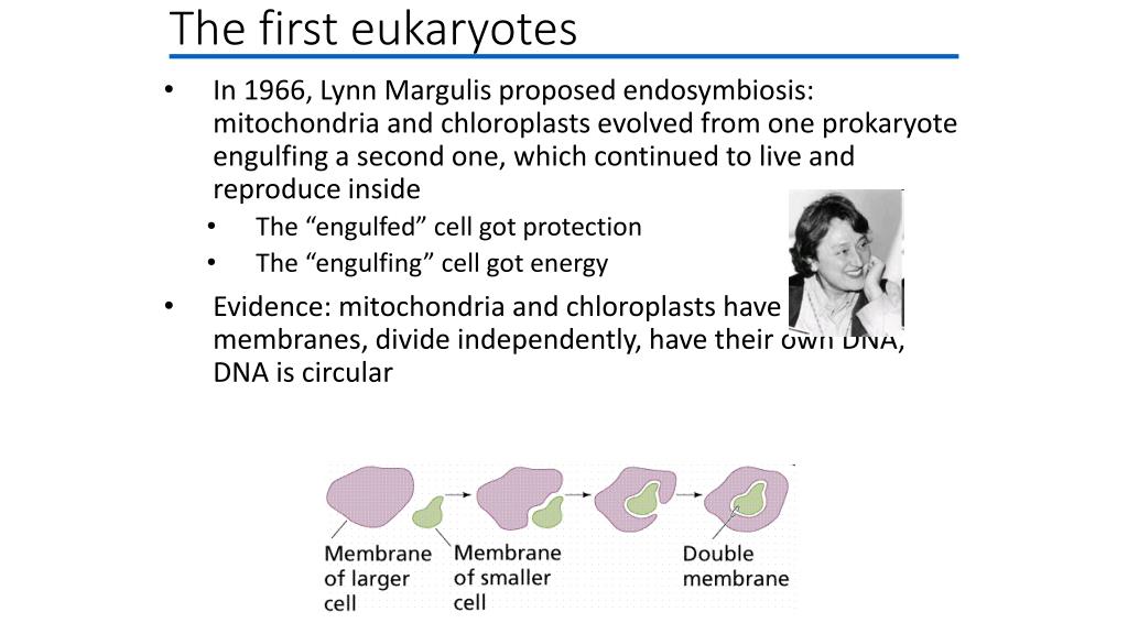 PPT - Welcome to Earth…4 billion years ago PowerPoint Presentation ...