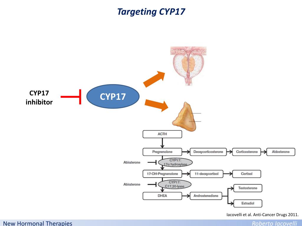 PPT - New Hormonal Therapies Roberto Iacovelli PowerPoint Presentation ...