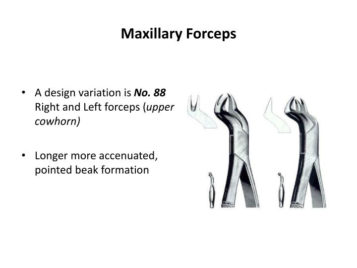PPT - Instrumentation for Basic Oral Surgery PowerPoint Presentation ...