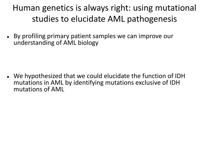 PPT - Targeted Therapy in Acute Myeloid Leukemia PowerPoint ...