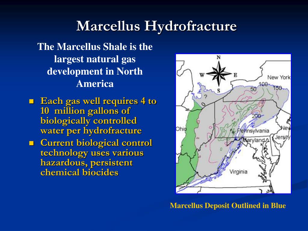 PPT - Sustainable Solution: Green Technology for Biological Control of ...