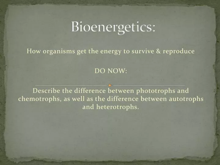 PPT - Bioenergetics: PowerPoint Presentation, free download - ID:5861603