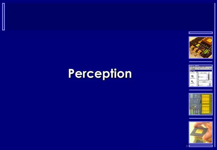 PPT - Perception PowerPoint Presentation, free download - ID:5861856 PPT - Perception PowerPoint Presentation, free download - ID:5861856