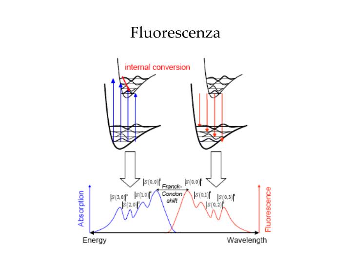 PPT - Spettroscopie biologiche PowerPoint Presentation - ID:5866102