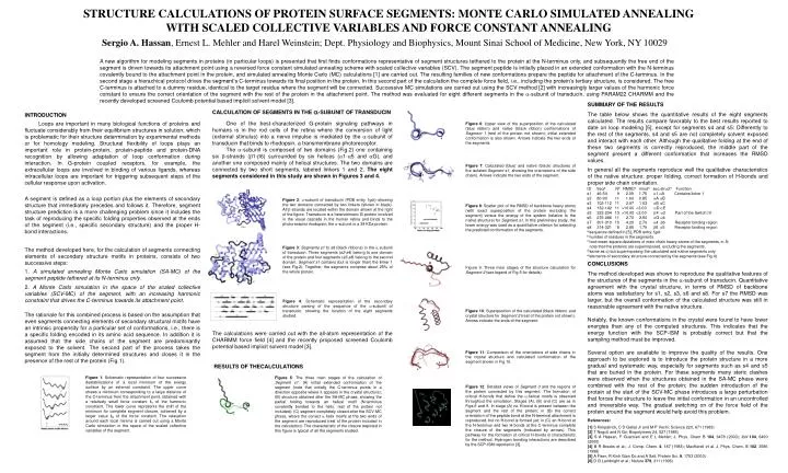PPT - STRUCTURE CALCULATIONS OF PROTEIN SURFACE SEGMENTS: MONTE CARLO ...