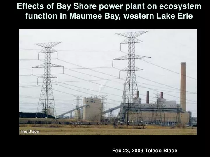 PPT - Effects of Bay Shore power plant on ecosystem function in Maumee ...