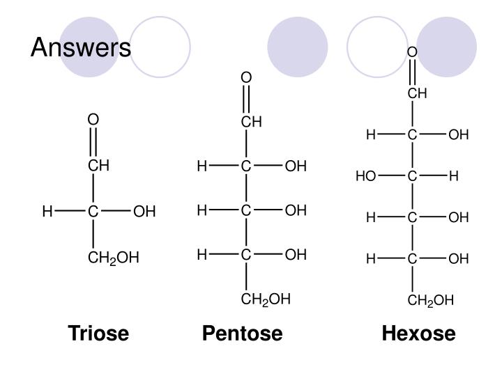 PPT - Types of Carbohydrates PowerPoint Presentation - ID:5871348