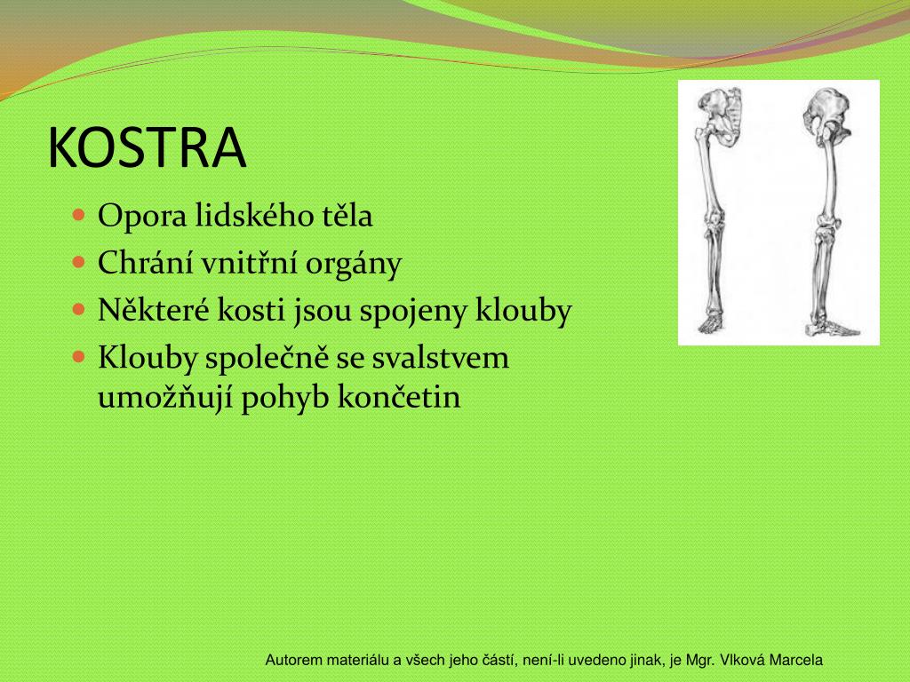 PPT - Kostra Prvouka, 3. ročník VY_32_INOVACE_423, 22. sada, Prvouka ...