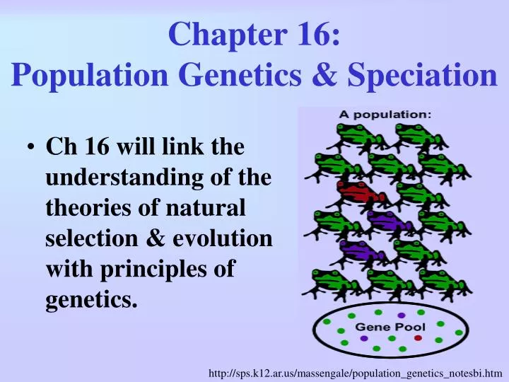PPT - Chapter 16: Population Genetics & Speciation PowerPoint Presentation - ID:5875256