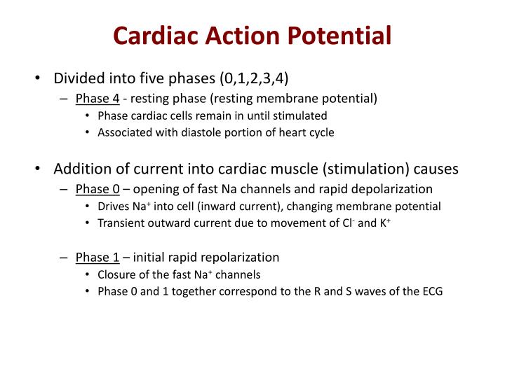 PPT - Antiarrhythmic Drugs PowerPoint Presentation - ID:5875834