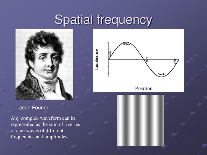 PPT - Basic Visual Processes PowerPoint Presentation - ID:5875848