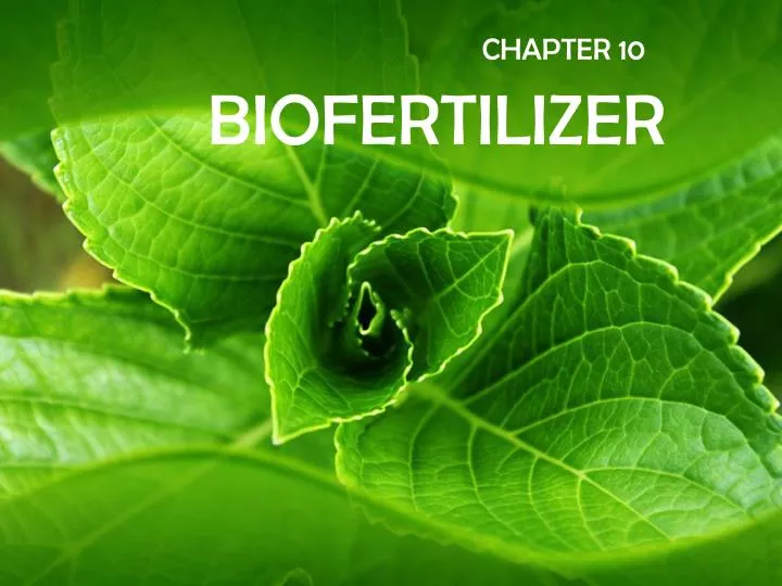 PPT - BIOFERTILIZER PowerPoint Presentation, free download - ID:5876066
