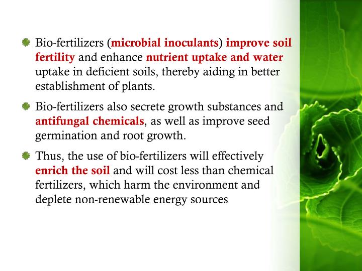 PPT - BIOFERTILIZER PowerPoint Presentation - ID:5876066
