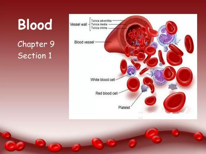 PPT - Blood PowerPoint Presentation, free download - ID:5876067