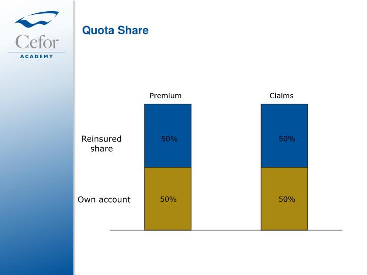 PPT - Reinsurance PowerPoint Presentation - ID:5876216