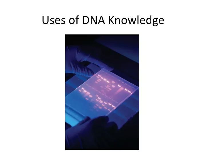 PPT - Uses of DNA Knowledge PowerPoint Presentation, free download - ID ...