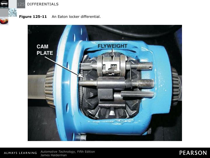 PPT - DIFFERENTIALS PowerPoint Presentation - ID:5877436
