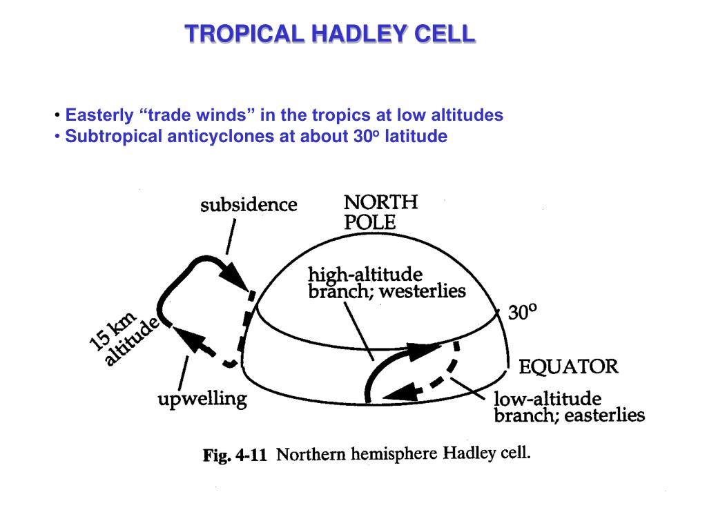 PPT - THE HADLEY CIRCULATION (1735): global sea breeze PowerPoint ...