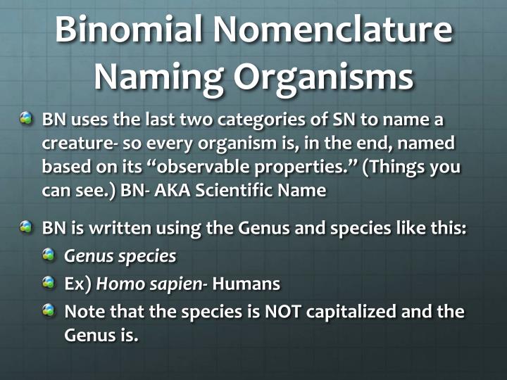 PPT - Binomial Nomenclature PowerPoint Presentation - ID:5877967
