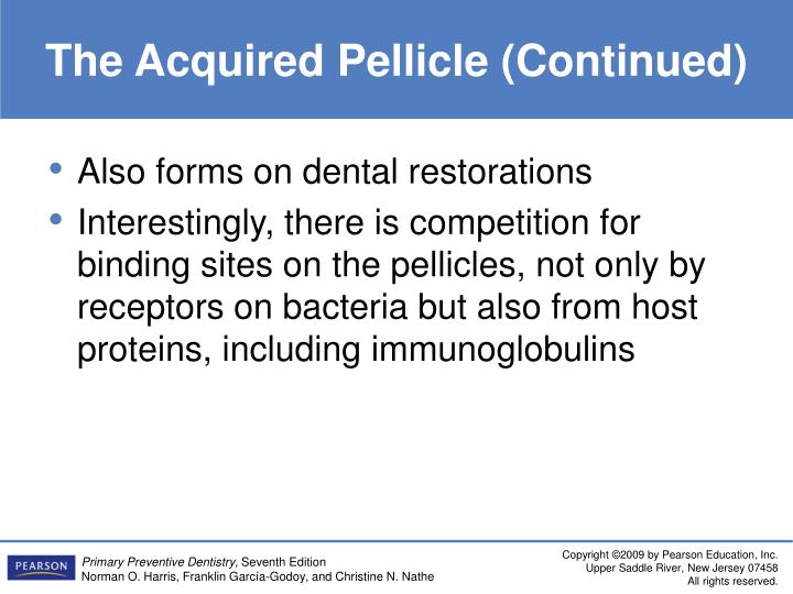 PPT - Chapter 2 Dental Plaque PowerPoint Presentation - ID:5878077