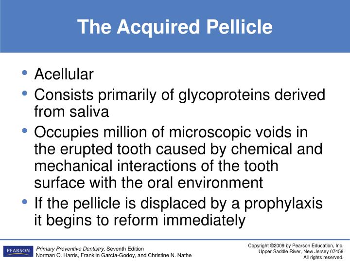 PPT - Chapter 2 Dental Plaque PowerPoint Presentation - ID:5878077
