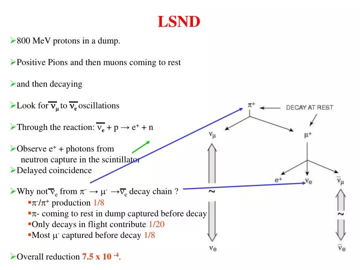 PPT - LSND PowerPoint Presentation, free download - ID:5878200
