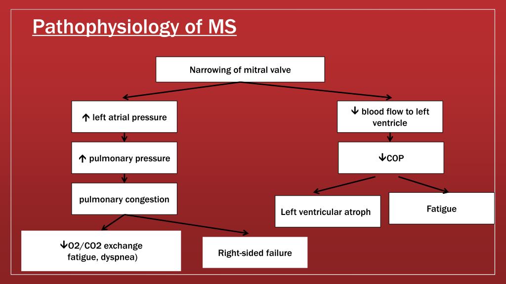PPT - CARDIOVASCULAR SYSTEM Rheumatic heart disease and valvular ...