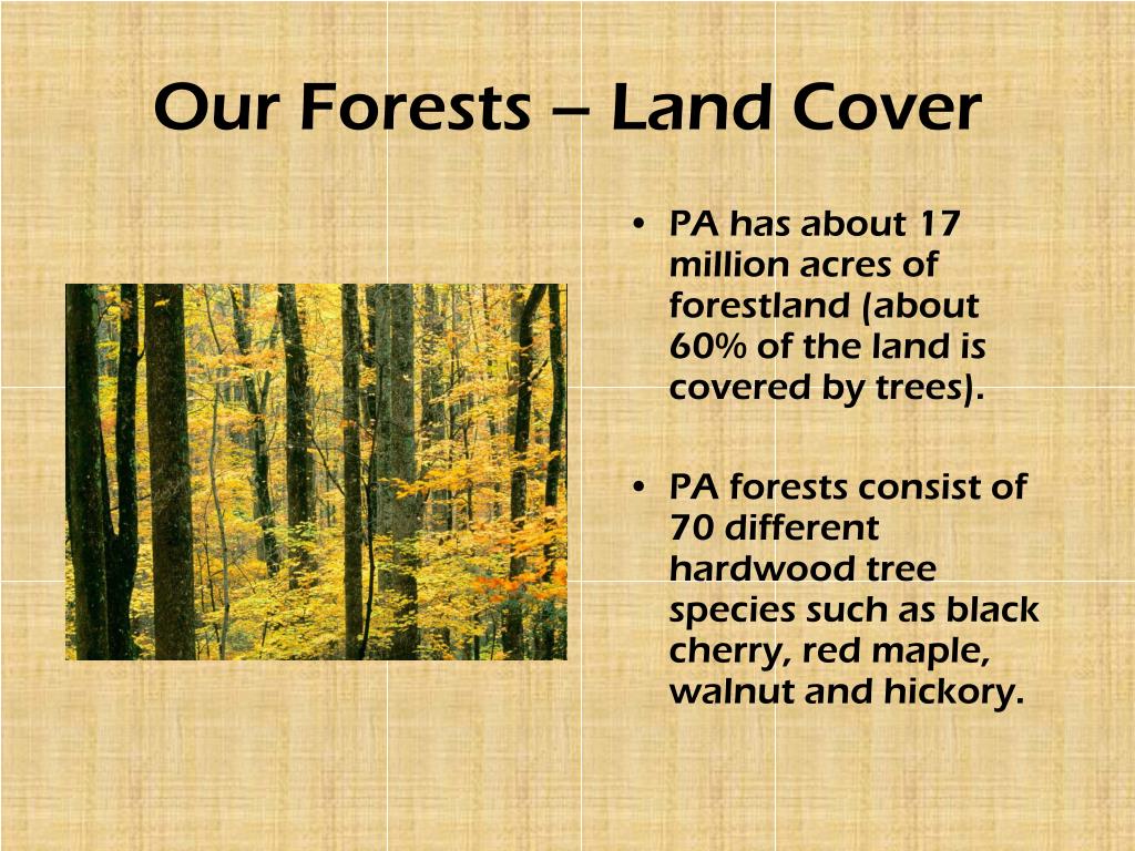 PPT - Pennsylvania Forests: A Rich History and Sustainable Future ...