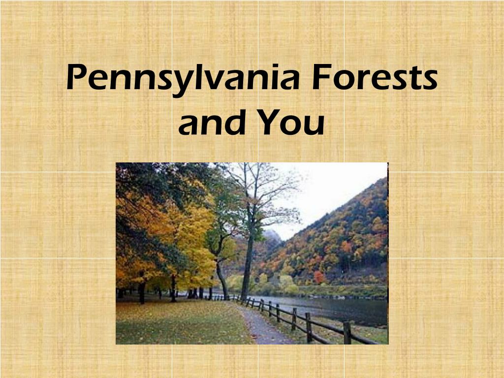 PPT - Pennsylvania Forests: A Rich History and Sustainable Future ...
