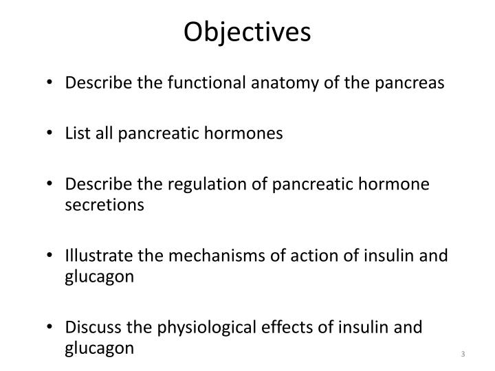 PPT - PANCREATIC HORMONES PowerPoint Presentation - ID:5880850
