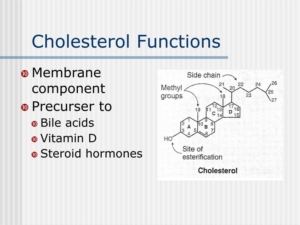 PPT - D-Cholesterol And Sterol Metabolism PowerPoint Presentation, free ...