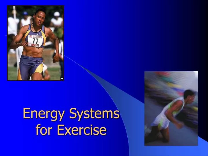 PPT - Energy Systems for Exercise PowerPoint Presentation, free ...