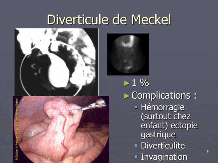 PPT - Anatomie tube digestif PowerPoint Presentation - ID:5882199