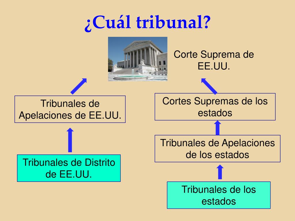 PPT - El régimen jurídico de los Estados Unidos y los testimonios en el ...