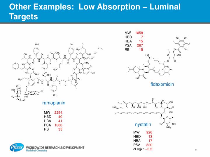 PPT - The Rational Design of Intestinal Targeted Drugs PowerPoint ...