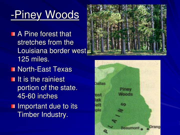 PPT - The 4 Natural Regions of Texas PowerPoint Presentation - ID:5887729