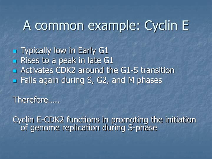 PPT - Fbw7/hCdc4/Ago and Endometrial Cancer PowerPoint Presentation ...