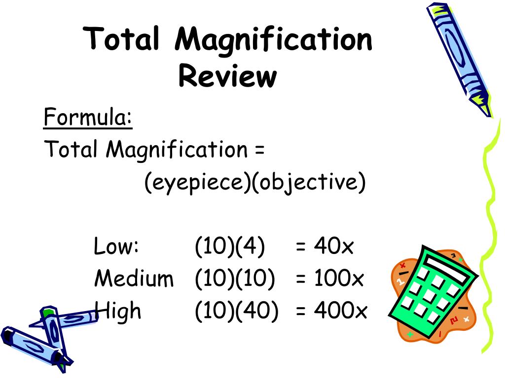 Ii Microscope Parts Functions Calculating Total Magni - vrogue.co Ii Microscope Parts Functions Calculating Total Magni - vrogue.co